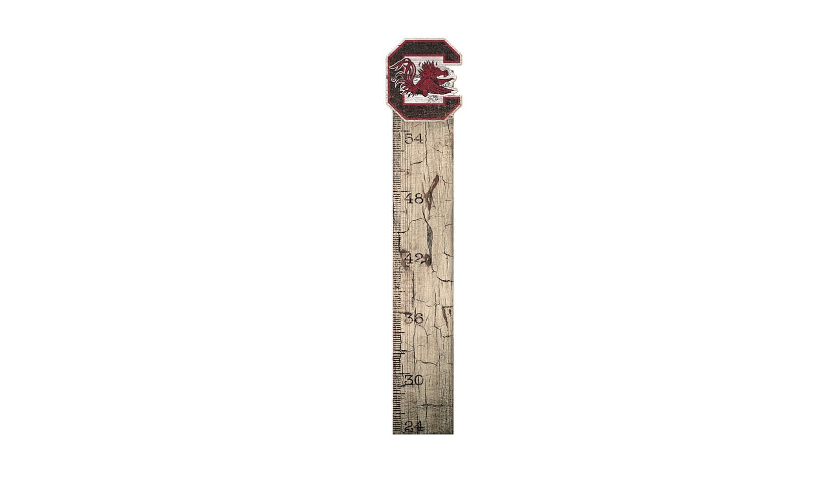 South Carolina Growth Chart Sign – Fan Creations GA