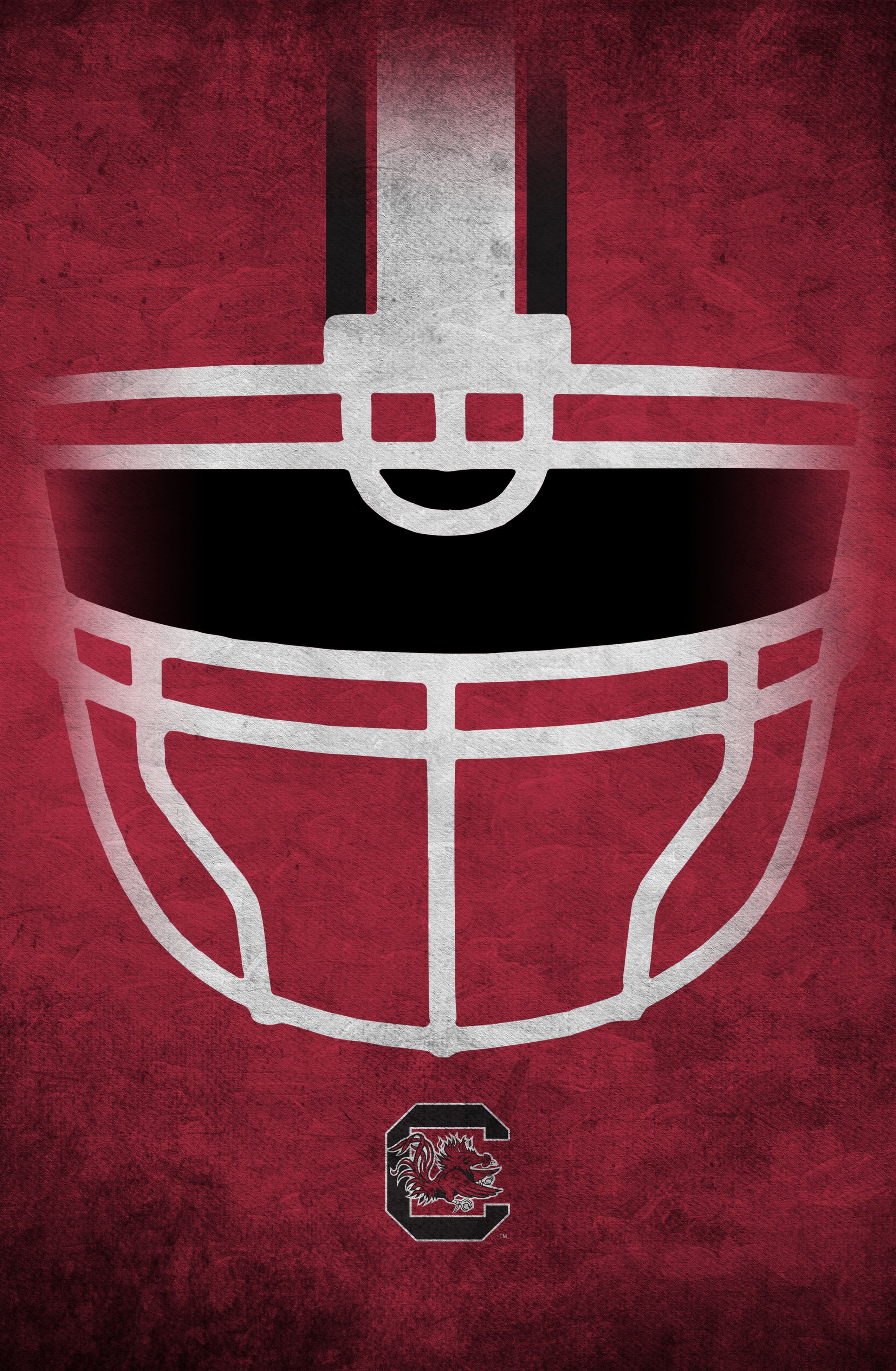 South Carolina Ghost Helmet 17x26 – Fan Creations GA