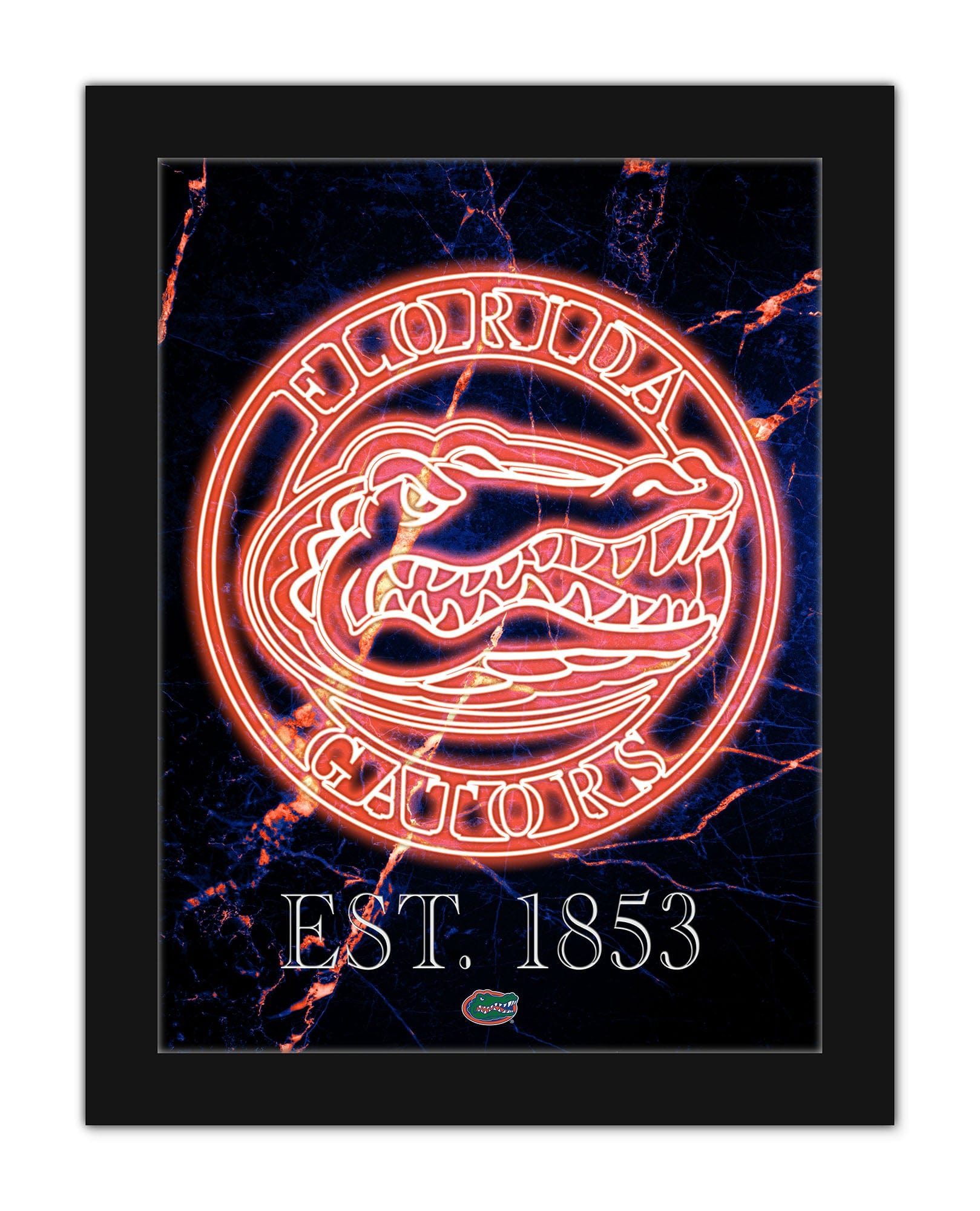 University of Florida Neon Circle Logo 12x16 – Fan Creations GA