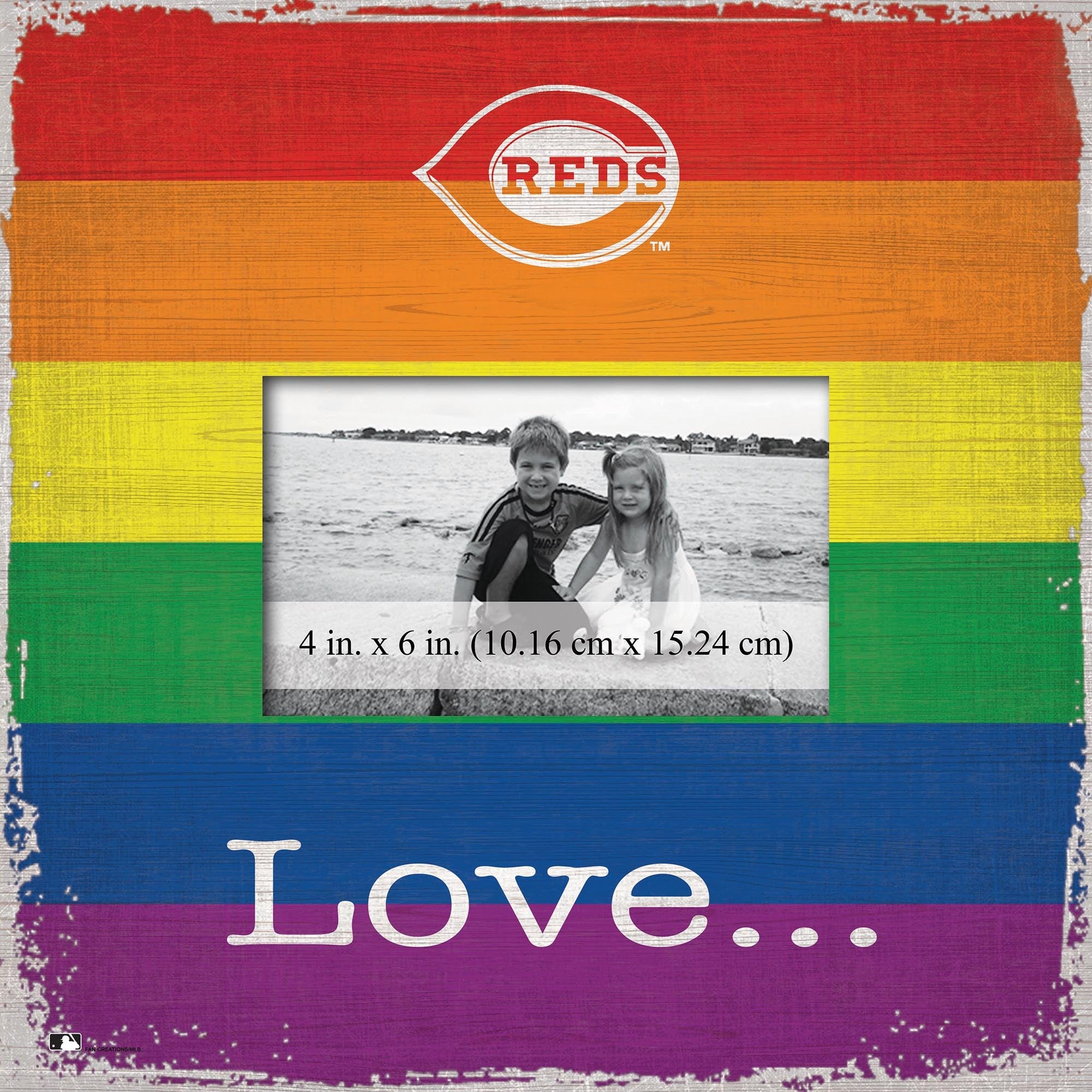 Cincinnati Reds Love Pride 10x10 Frame – Fan Creations GA