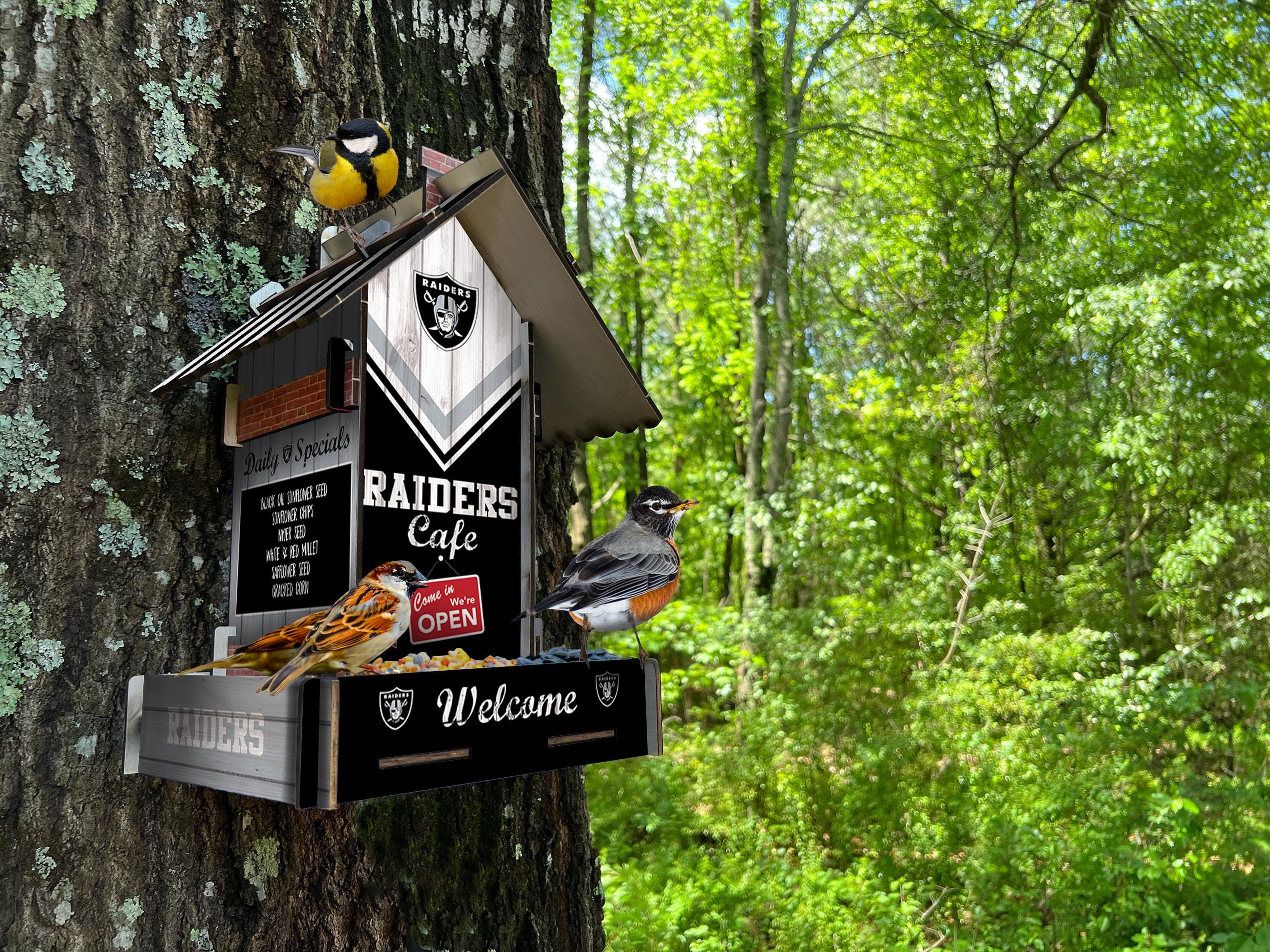 Las Vegas Raiders Bird Feeder – Fan Creations GA