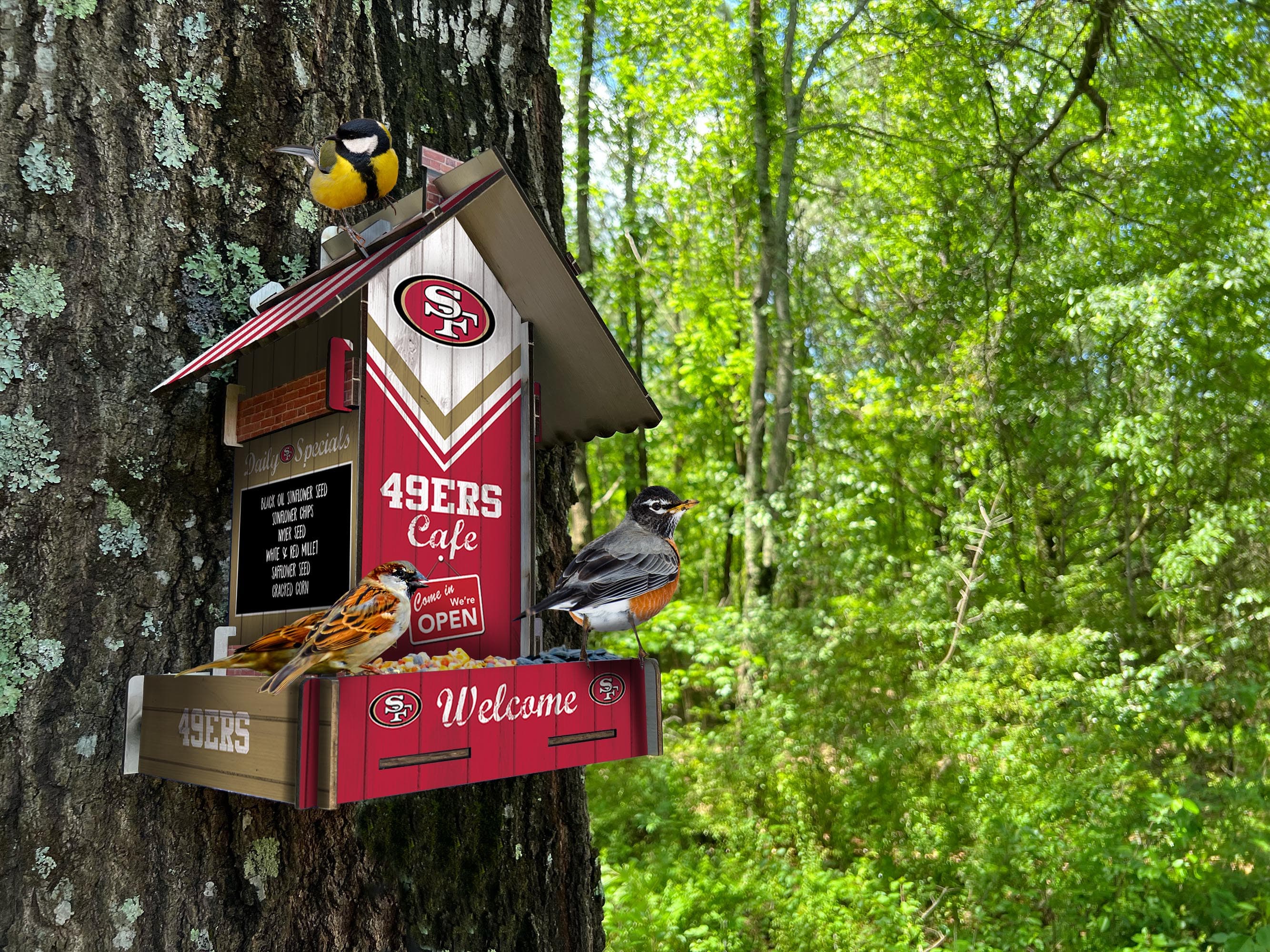 San Francisco 49ers Bird Feeder – Fan Creations GA