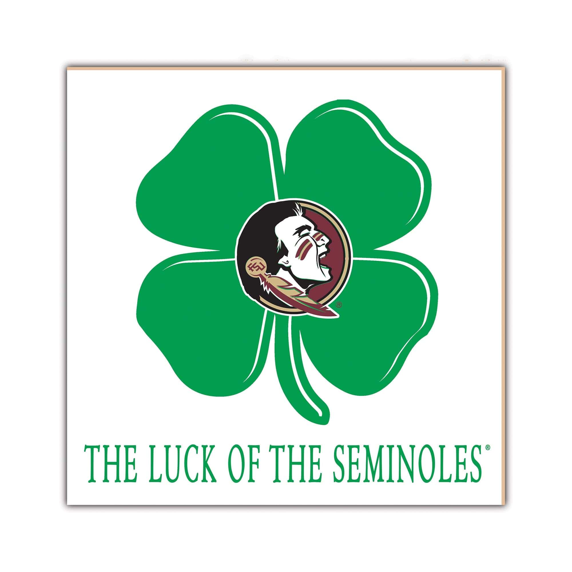 Florida State Luck Of The Team 10x10 – Fan Creations GA